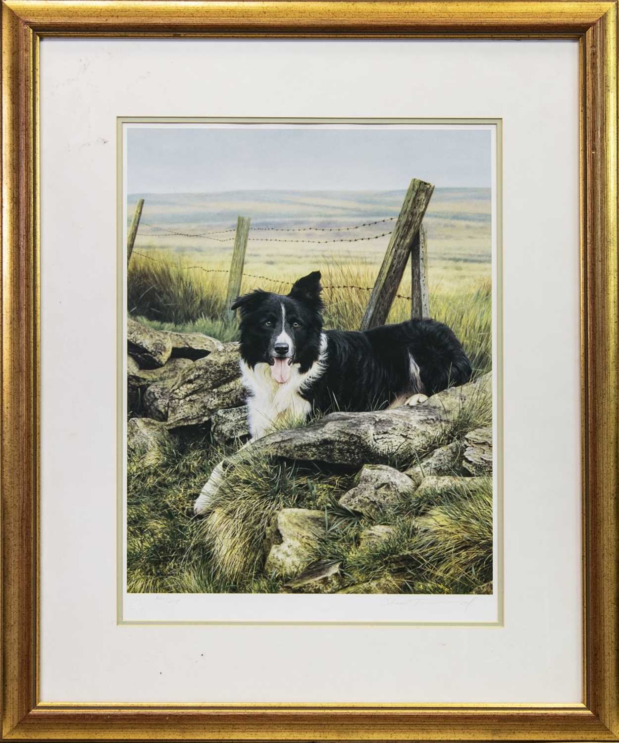 Lot 3 - FOUR LIMITED EDITION PRINTS BY STEVEN TOWNSEND