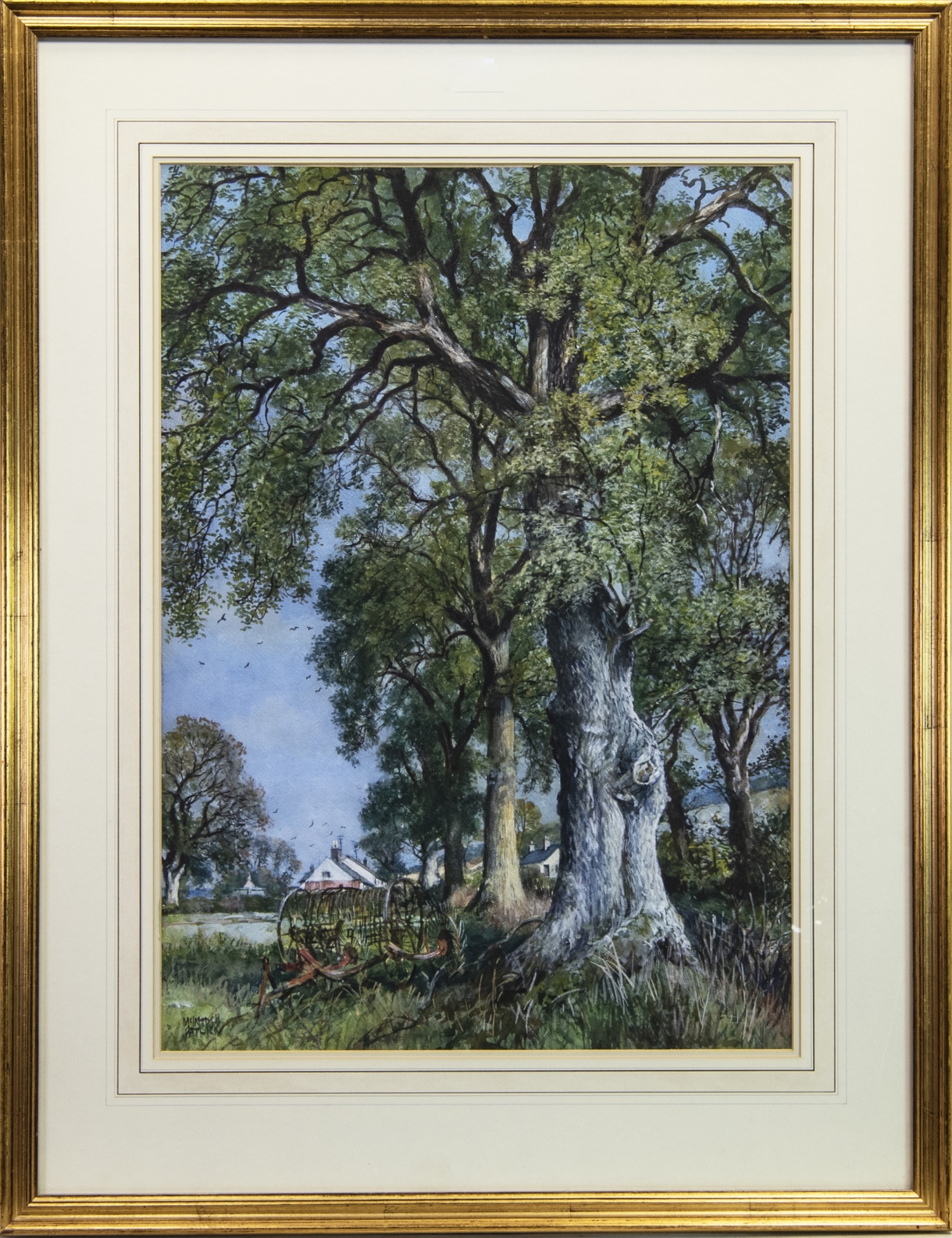 Lot 48 - THE OLD ASH TREE, WESTER LEYS, A WATERCOLOUR
