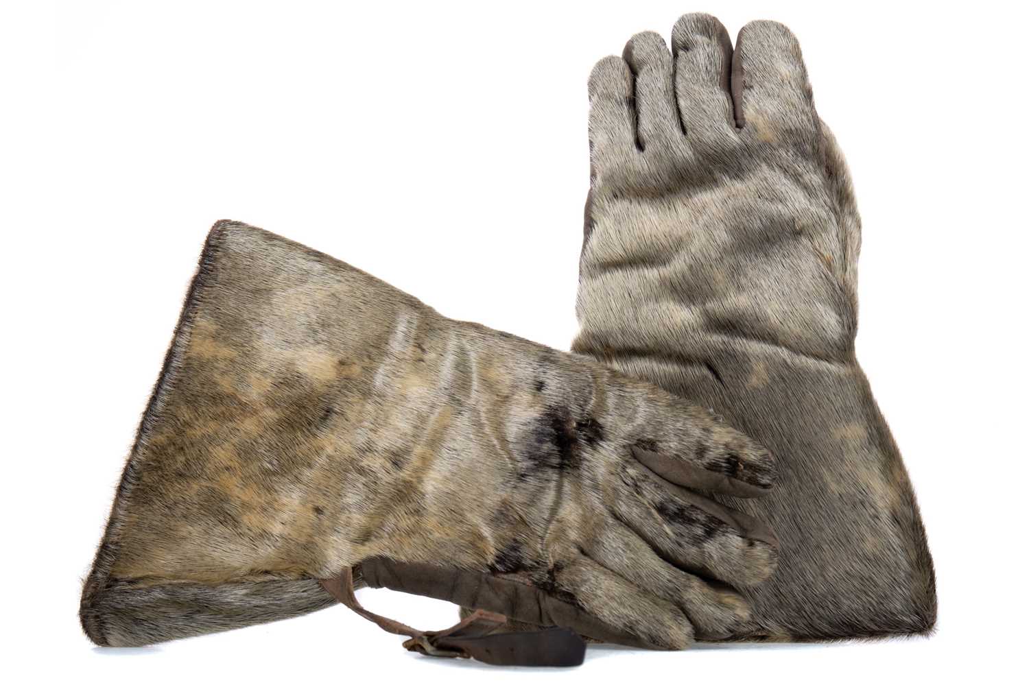 Seal skin gloves store