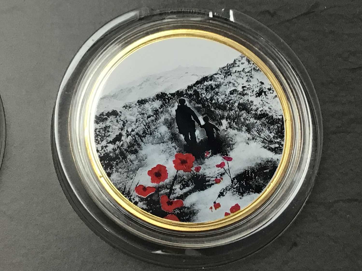 Lot 451 - THE WAR POPPY COIN COLLECTION,