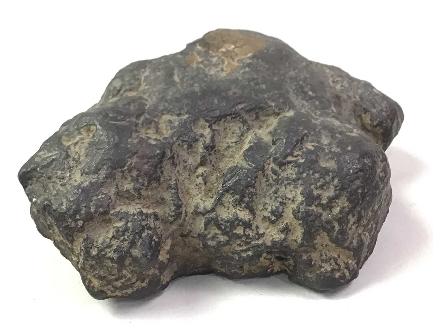 Lot 116 - IRON METEORITE,