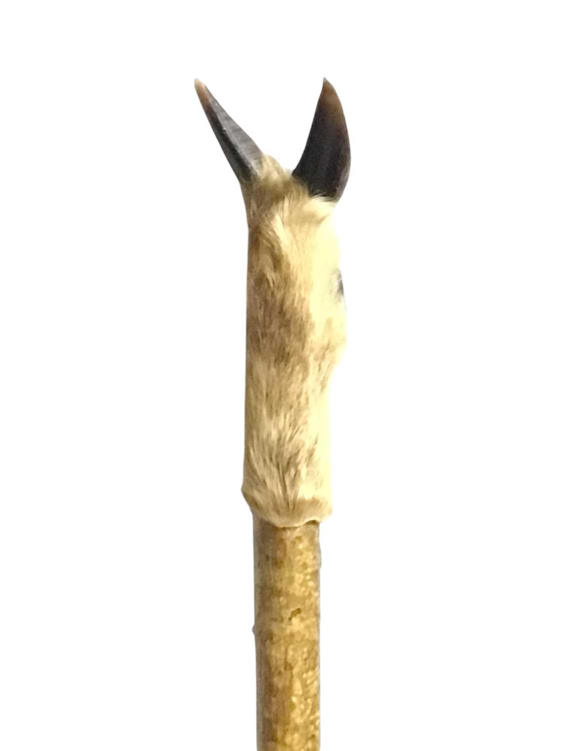 Lot 401 - COLLECTION OF STICKS AND CROOKS,