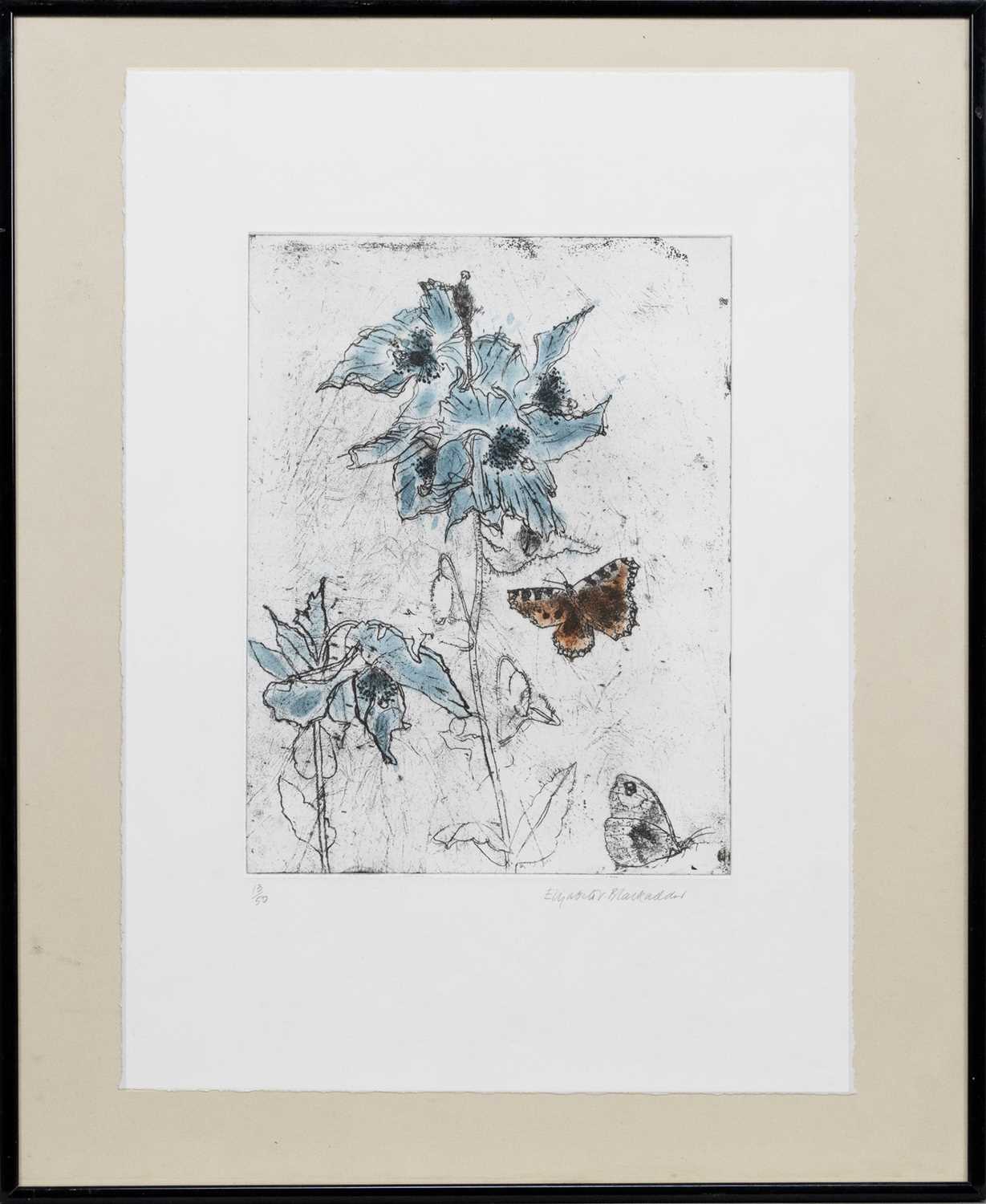 Lot 147 - * ELIZABETH BLACKADDER DBE RA RSA RSW RGI