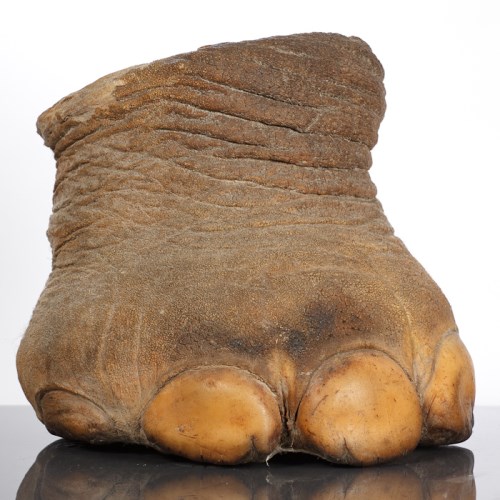 Lot 200 - ANTIQUE AFRICAN ELEPHANT FOOT PAPER BIN